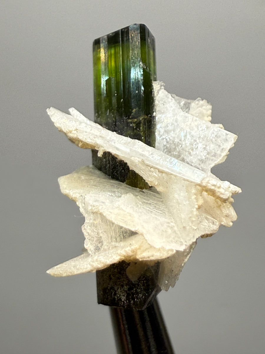 Dark Green Stak Nala Tourmaline and Cleavelandite – Haramosh Mountains ...