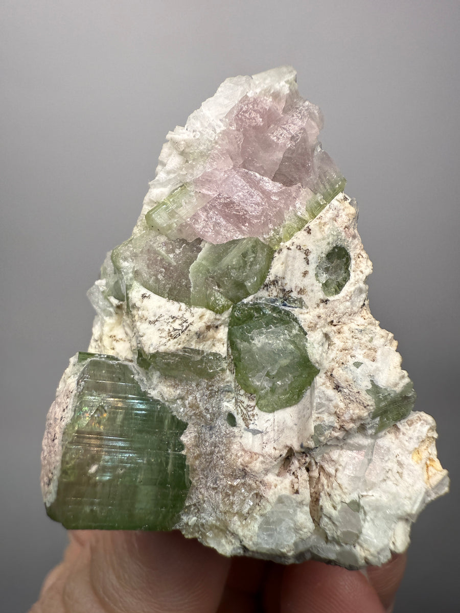 Watermelon Tourmaline on Quartz Matrix – Collector Mineral Specimen fr ...