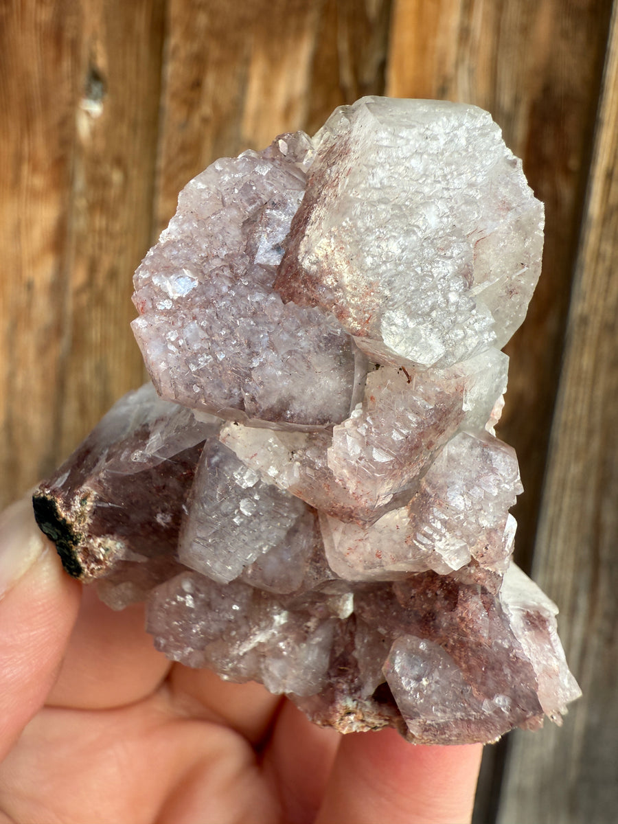Red Phantom Gem Apophyllite Cluster • Maharashtra, India – Wandering Stones