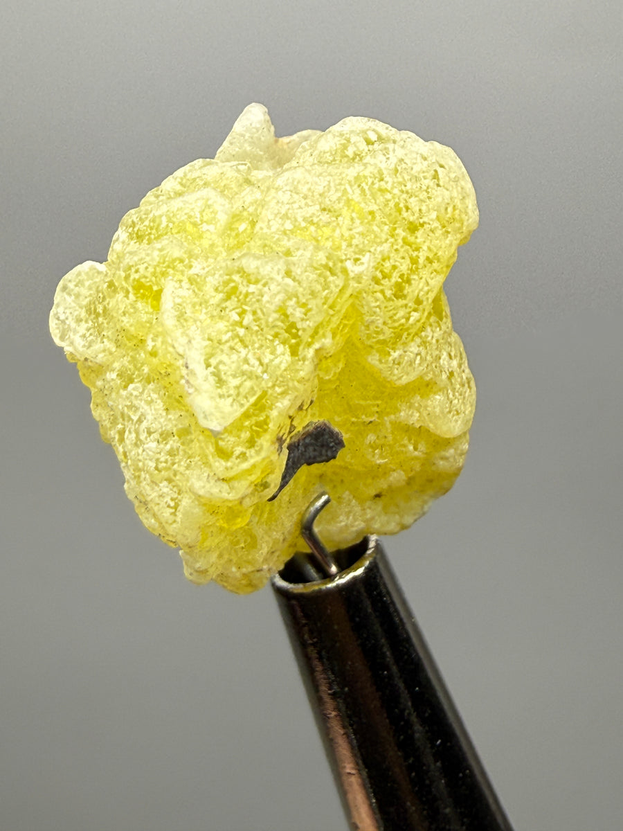 Vibrant Yellow Brucite Thumbnail Mineral Specimen | Collector Crystal ...