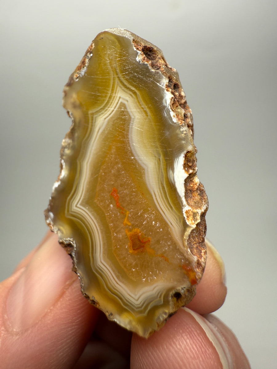 Polished Malawi Agate Half – High-Grade African Banded Agate Display S ...
