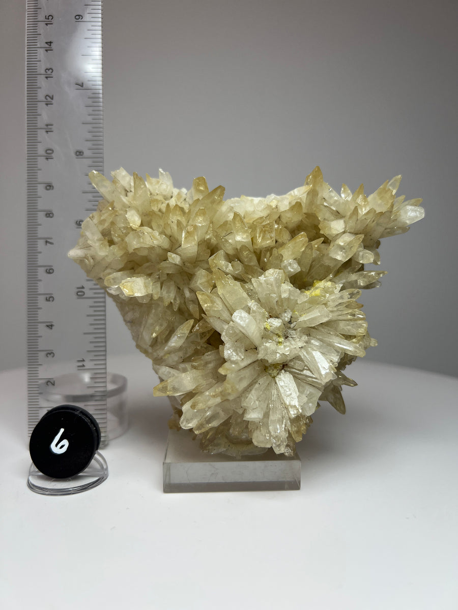 Golden Tip Celestite with Sulfur Crystals – Wandering Stones