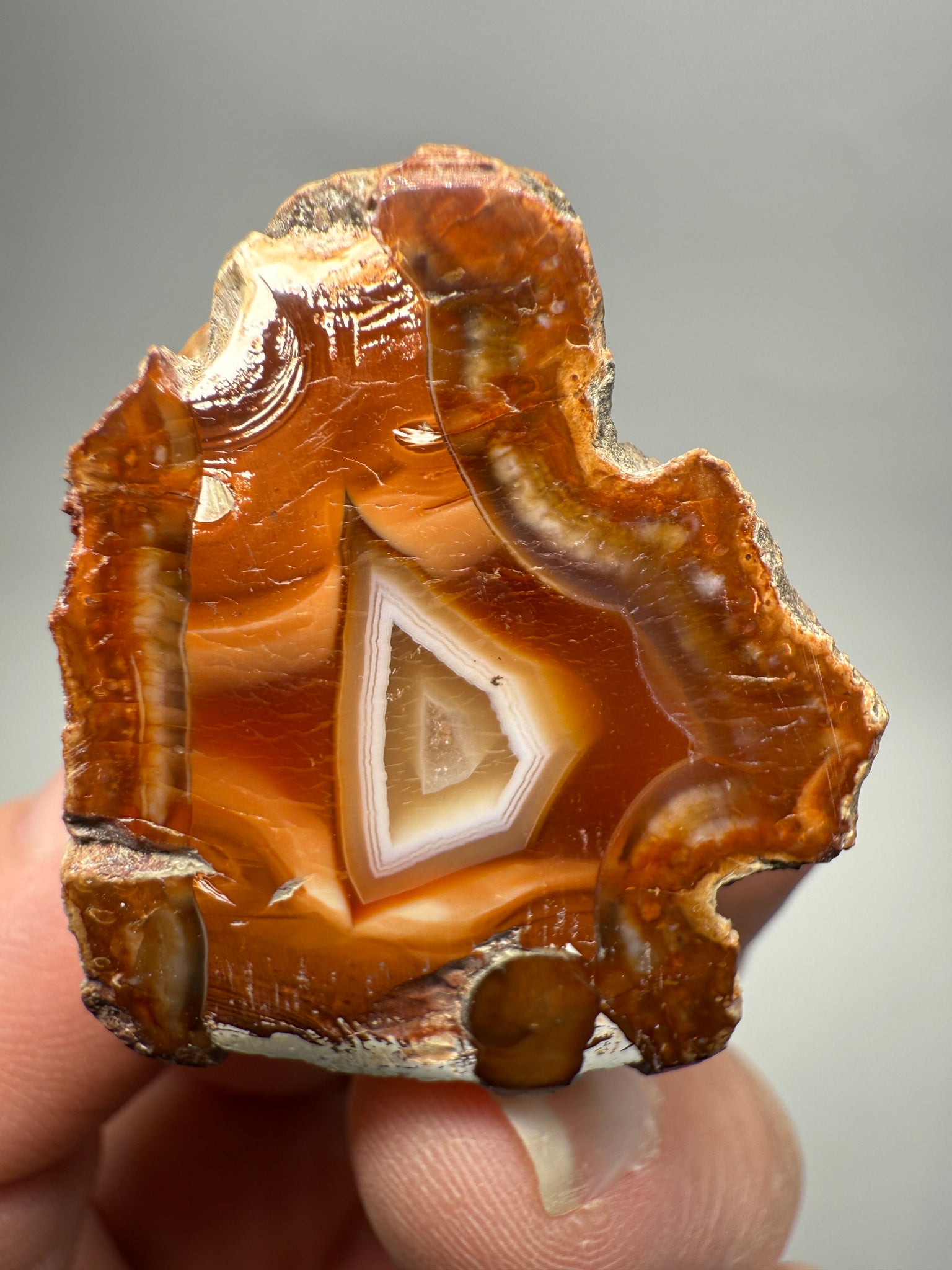 Indonesian Sumatra Agate Half – Vibrant Banded Chalcedony with Rich Co ...