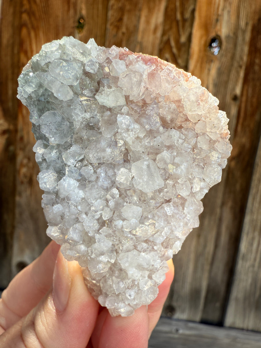 Light Pink Apophyllite • Maharashtra, India – Wandering Stones