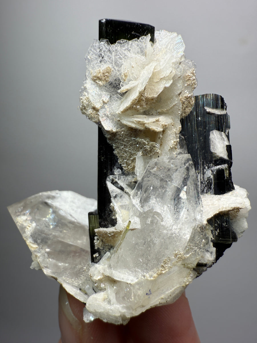 Dark Green Cap Stak Nala Tourmaline and Quartz with Flower Cleavelandi ...