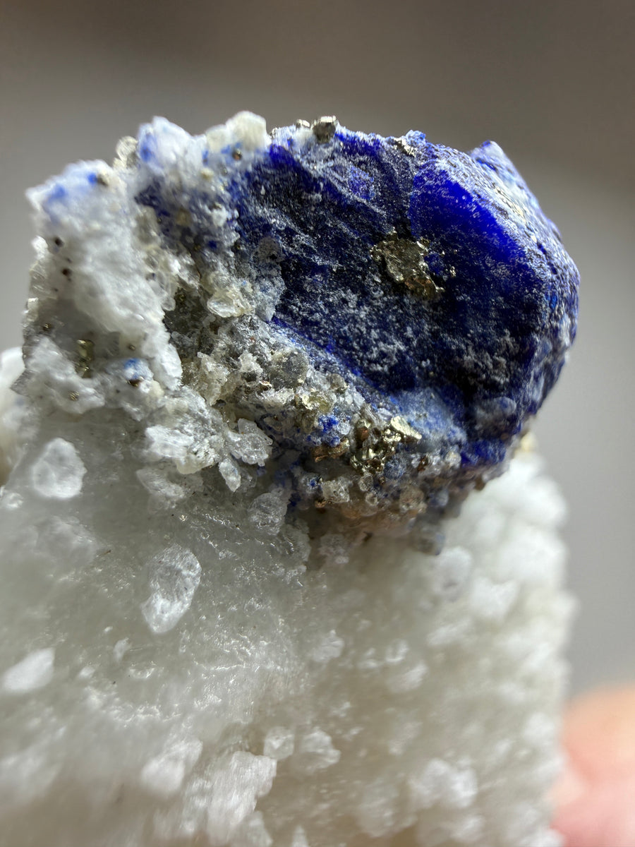 Afghan Lazurite Specimen | Deep Blue Lapis-Grade Crystal on Matrix | C ...