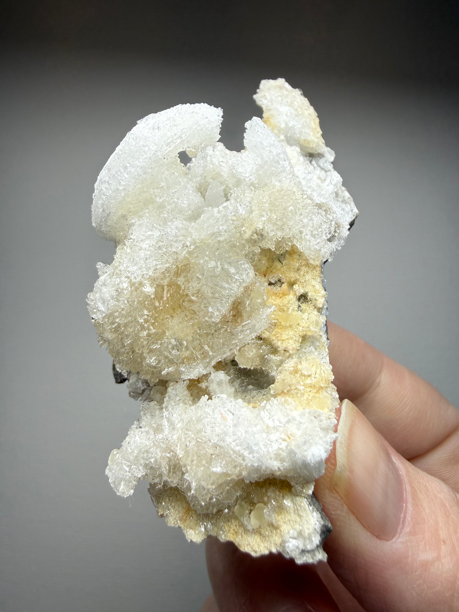 Moroccan Ram’s Horn Selenite (Gypsum) Crystal Display Specimen ...