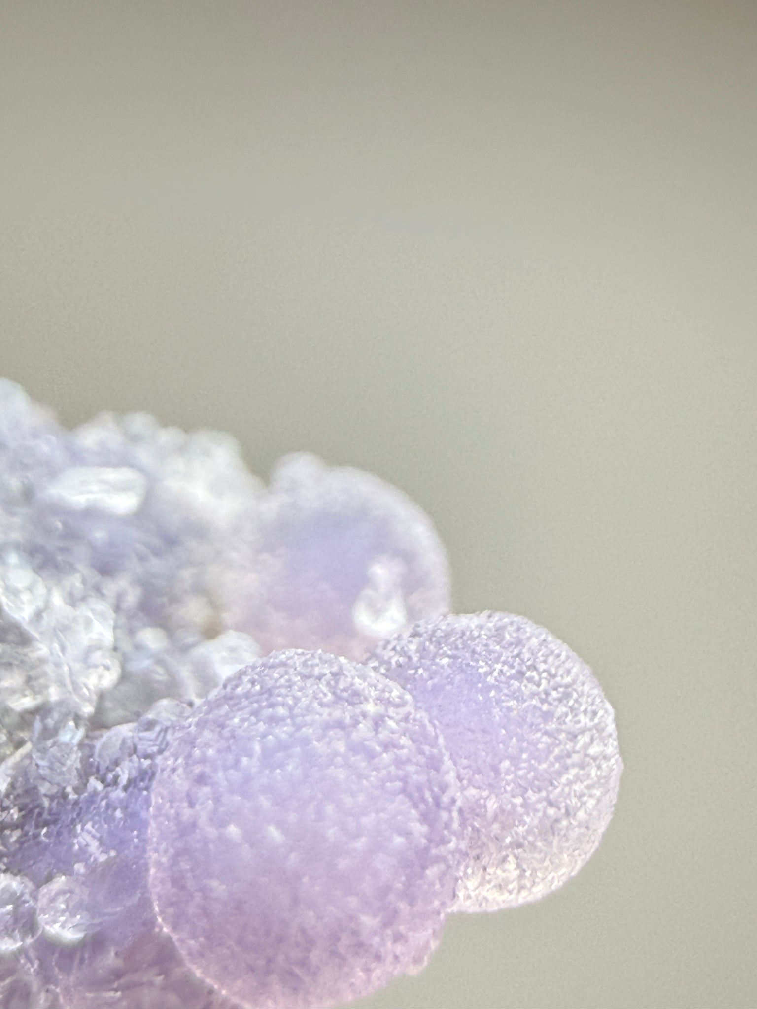 Indonesian Grape Agate (Botryoidal Purple Chalcedony) Display Specimen ...