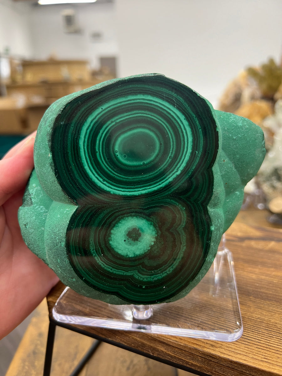 Malachite Polished • Congo – Wandering Stones