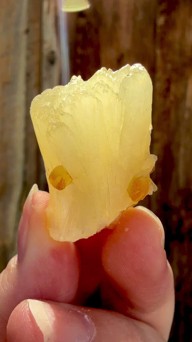 Golden Yellow Stilbite + Golden Calcite • Maharashtra, India ...